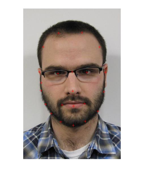 Project 5: Face Morphing